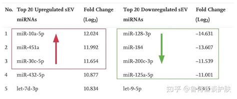 衰老细胞分泌的mirna：mir 10a、 30c以及 451a可能是促进细胞衰老的新机制 知乎