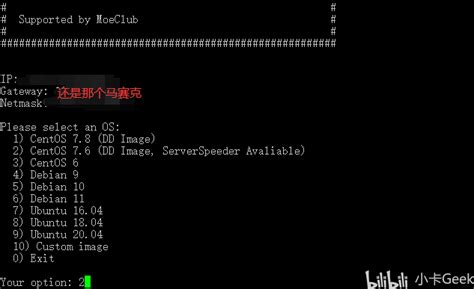 Centos Debian Ubuntu 一键网络dd重装脚本（纯净版） 让你的服务器纵享丝滑 哔哩哔哩