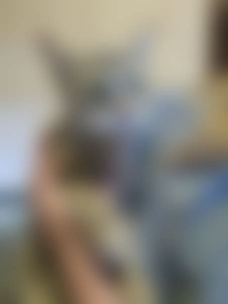 Воронеж Просим репосты ЗАЙКЕ ИЩЕМ ДОМ И ЛЮБЯЩУЮ СЕМЬЮ Девчушку стерилизовали подлечили