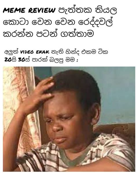 කොටා අපිගැන බන්නෑ බං දැන් 😾😾😾 R Tkasylum