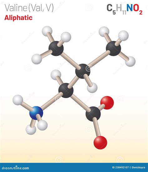 Valine Val L Amino Acid Molecule Chemical Formula C5h11no2 Stock Vector Illustration Of