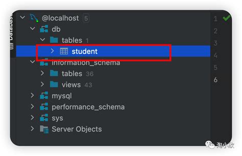 DataGrip 最新版安装 激活与使用保姆级教程 墨天轮