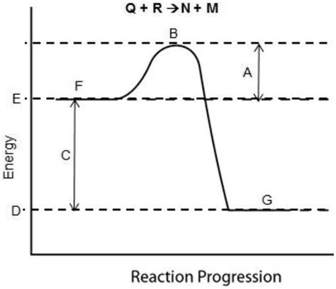 Solved Consider The Reaction Pathway Graph Below Which Method Would Provide Evidence To