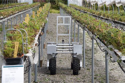 Figure 1 1 From Deep Neural Networks For Object Detection In