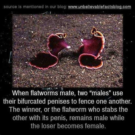 Pin On AndNowYouKnow