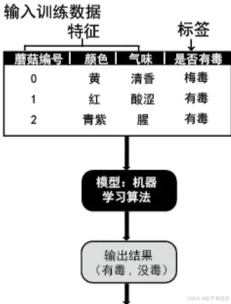 今日话题：如何看待小学生开始学习python？青少年python Csdn博客