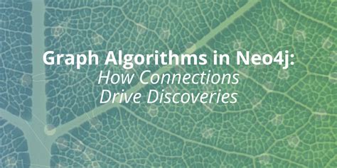 Graph Algorithms In Neo4j How Connections Drive Discoveries