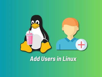 Ejemplos Del Comando Rsync En Linux