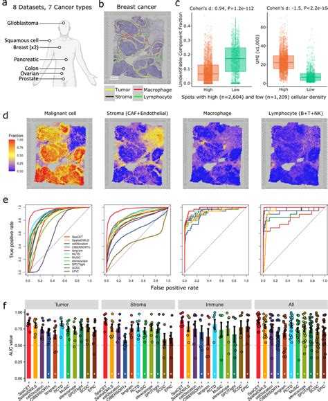 Performance Validation Based On Double Blind Pathology Annotations A Download Scientific