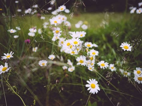 9 Classical Plays Worth Seeing While Pursuing An Acting Degree