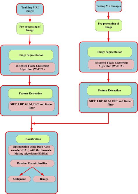 Overall Structure Of The Proposed Brain Tumor Classification System