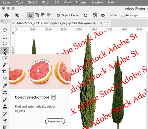 Lasso Adobe Support Community 13490582