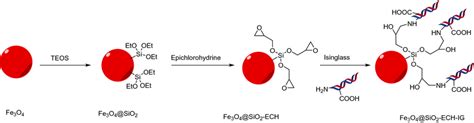 Schematic Representation Of The Catalyst Synthesis Procedures