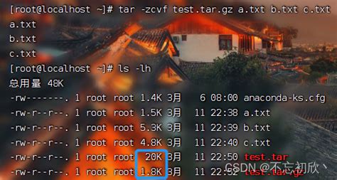 linux 中常用的压缩和解压缩命令详解（tar zip） tar压缩命令 csdn博客