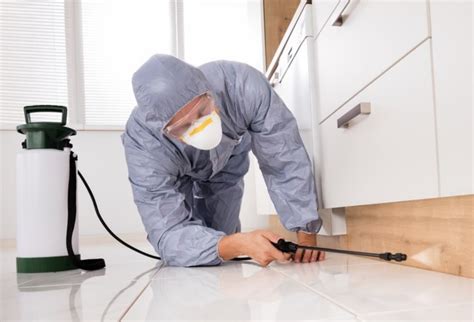 Pest Control Wallpapers Wallpaper Cave