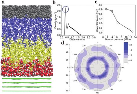 Md Simulation Results A Simulation Model The Atoms In Grey