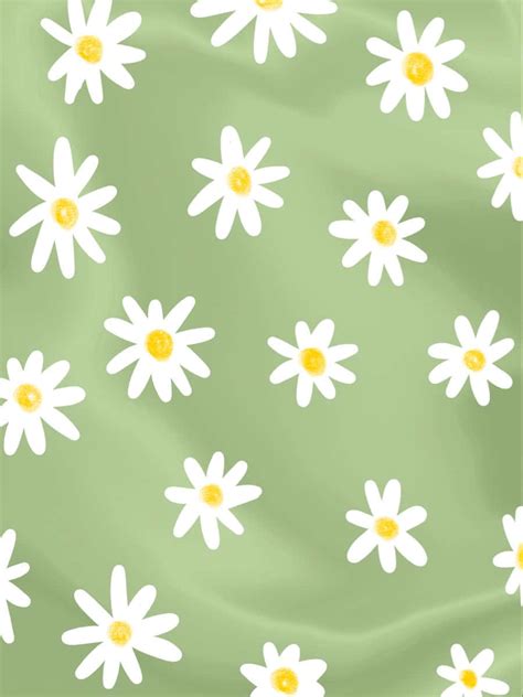 100 Cute Daisy Wallpapers