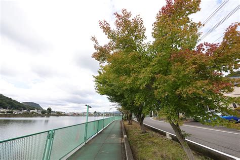 見どころたくさん苧ヶ瀬池 後編 歩いて撮って記録する