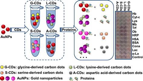 Schematic Presentation Of The Colorimetric Array Method Based On Amino Download Scientific