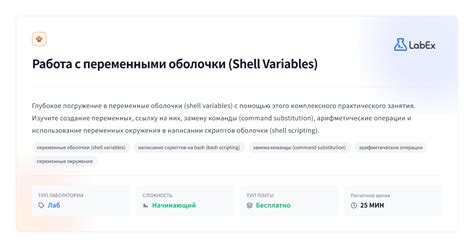 Мастерство в работе с переменными оболочки от основ до продвинутых