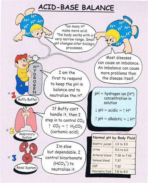 Acid Base Disorders A Look Into Balance And Imbalance Worksheets
