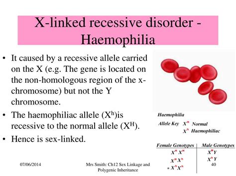 Ppt Chapter 12 Sex Linkage And Polygenic Inheritance Powerpoint Presentation Id 1397066