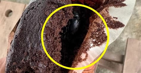 편의점 빵 뜯었더니 풍뎅이가 ‘꿈틀 이렇게 큰 게 어떻게”