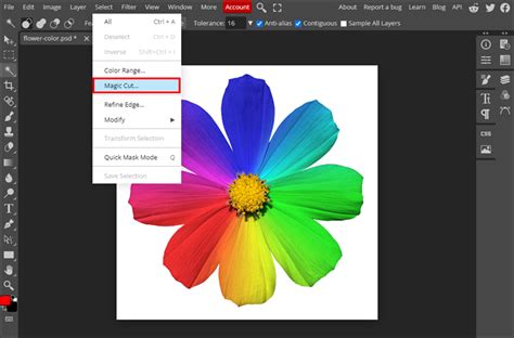 Remove Backgrounds Like A Pro With Photopea Background Eraser Tutorial