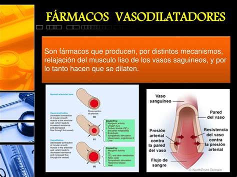 Ppt Fármacos Simpaticolíticos Y Vasodilatadores Powerpoint