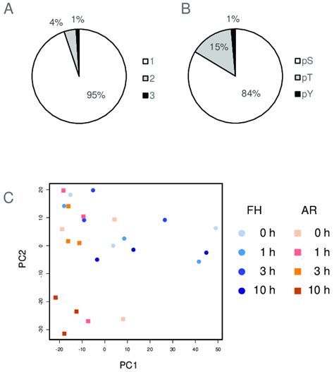 Summary Of Phosphoproteomic Data A Frequency Of Phosphorylated