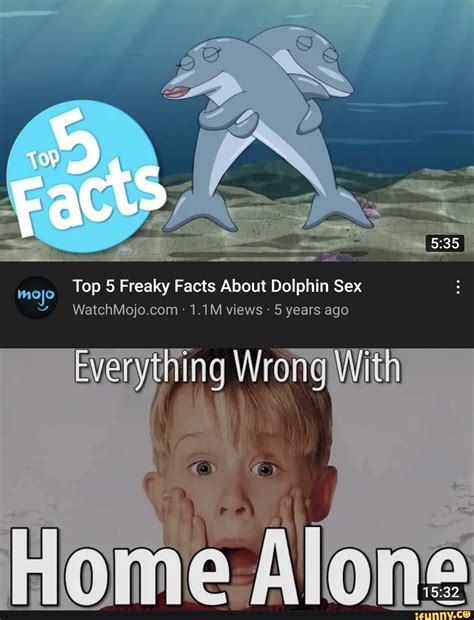 Mojo Top 5 Freaky Facts About Dolphin Sex 1 1m Views 5 Years Ago Everything Wire
