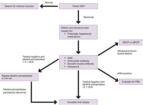 A Stepwise Approach To Patients With Abnormal Liver Enzymes