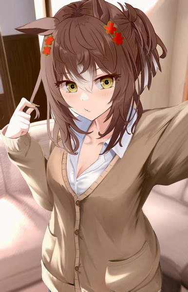 ギャルファイン pixiv年鑑 β