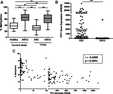 Tff1 Promoter Methylation And Mrna Expression Differ In Esophageal