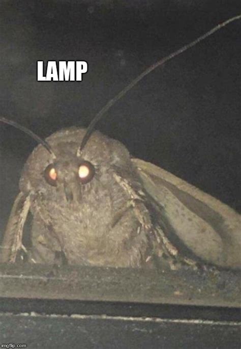 Lamp Imgflip