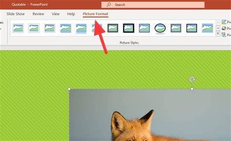 How To Crop A Picture In PowerPoint 4 Methods Vegaslide