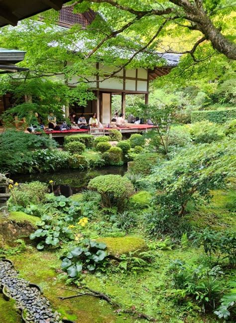 🍁2024가을 4박5일 교토여행 셋째날 2 교토 산골마을 오하라 산젠인 이끼정원 교토1일 교통패스 네이버 블로그