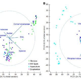 Principal Coordinate Analysis PCO Plot Showing The Microbial Download Scientific Diagram