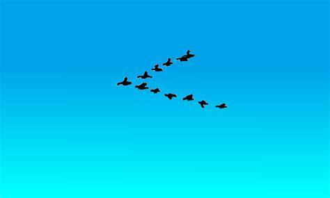 Drones Over Colorado Album On Imgur