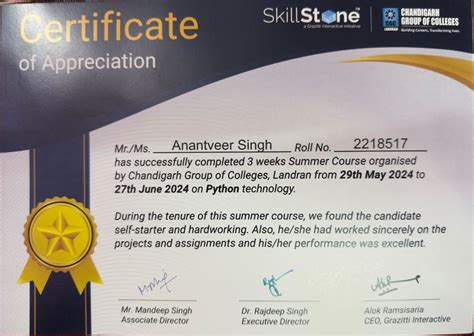 Anantveer Singh On Linkedin Python Certification