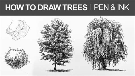 How To Draw Trees