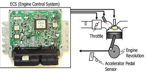 An Overview Of ECS Download High Quality Scientific Diagram