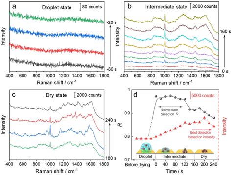 Time Course Of Dynamic Characterization Of Bsa And Its Corresponding Download Scientific