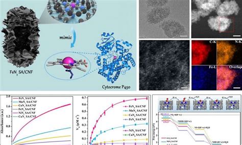 Scientists Discover A New Class Of Single Atom Nanozymes — Science Bulletin