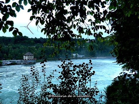 Fluviul Rin Bucuria De A Calatori