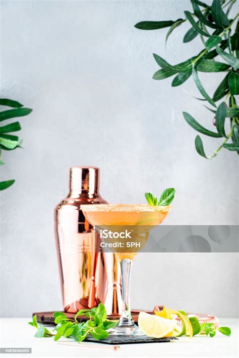 코냑 시럽 레몬 주스 민트 얼음을 곁들인 프렌치 다이키리 알콜릭 칵테일을 유리에 담아 흑설탕 테두리로 장식했습니다 회색 배경 바 도구 칵테일 쉐이커에 대한 스톡 사진 및