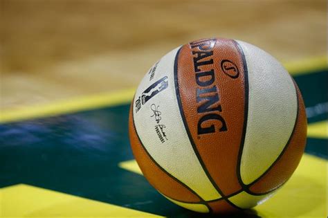 Wnba Game Delayed Over Flying Sex Toy