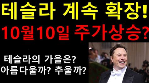 테슬라 계속 확장 10월 10일 주가상승 하나 테슬라의 가을은 아름다울까 연준 금리인하 05하면 일어날일 루시드 소유주 테슬라 이름을 붙인 이유 Youtube