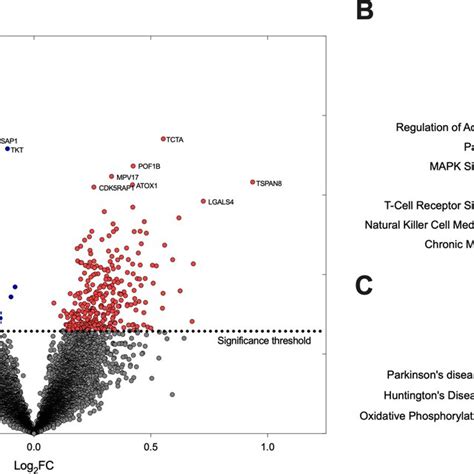 Transcriptomic Analysis In SMA Type 3 Patients And Healthy Controls