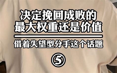 价值不是某个点而是一种感觉是不可替代 老吴Leo 老吴Leo 哔哩哔哩视频